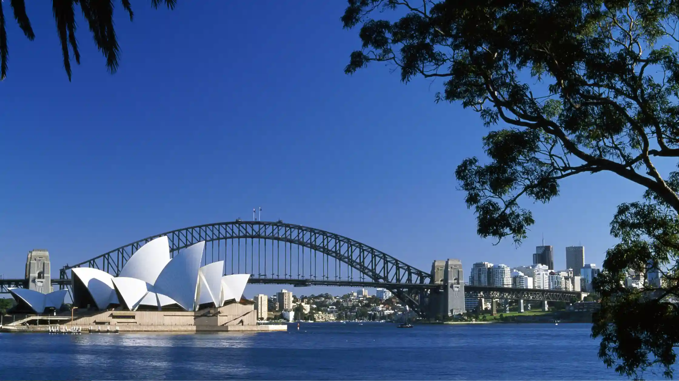 Fun Things to Do in Sydney | Australian Luxury Escapes